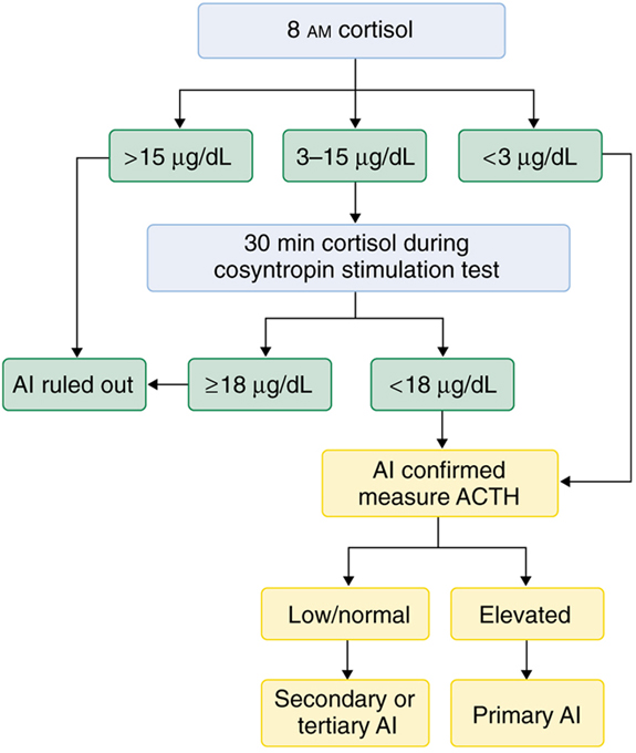 Testing and Diagnosis of Adrenal Insufficiency – Adrenal Insufficiency ...